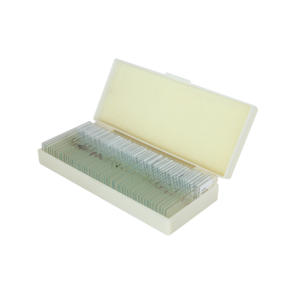 prepared microscope slides nz